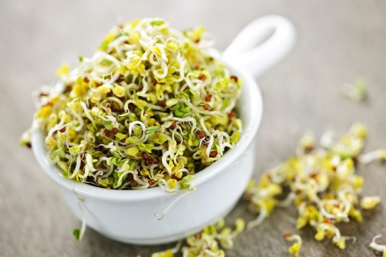 13 Amazing Health Benefits of Alfalfa Sprouts - Natural Food Series