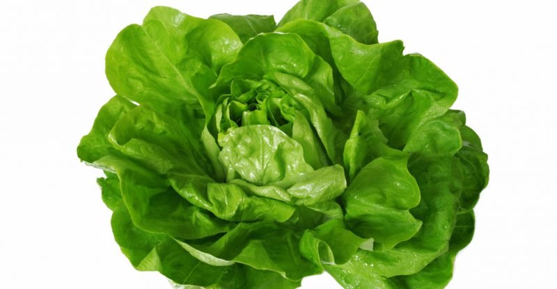 11 Impressive Health Benefits of Lettuce - Natural Food Series