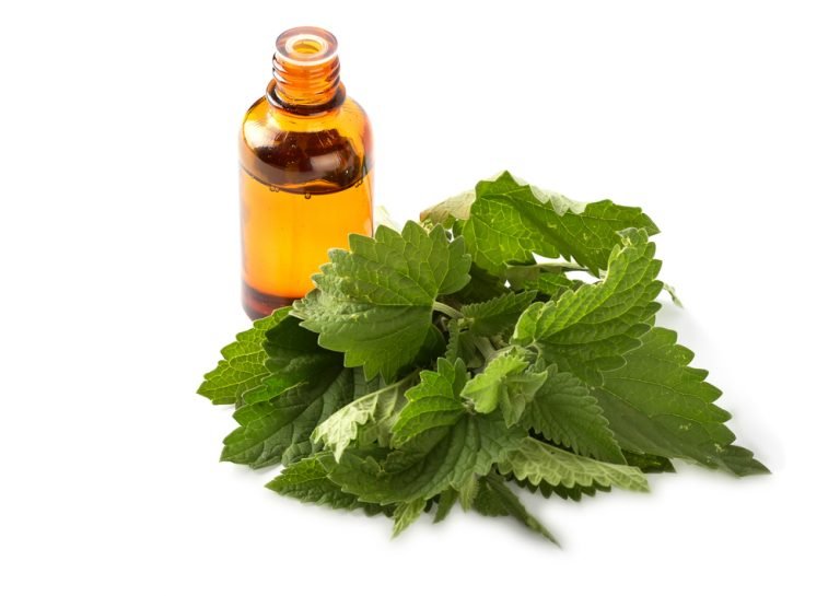 13 Impressive Benefits of Melissa Essential Oil - Natural Food Series