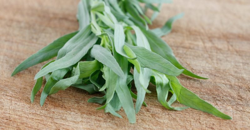 13 Amazing Health Benefits of Tarragon - Natural Food Series