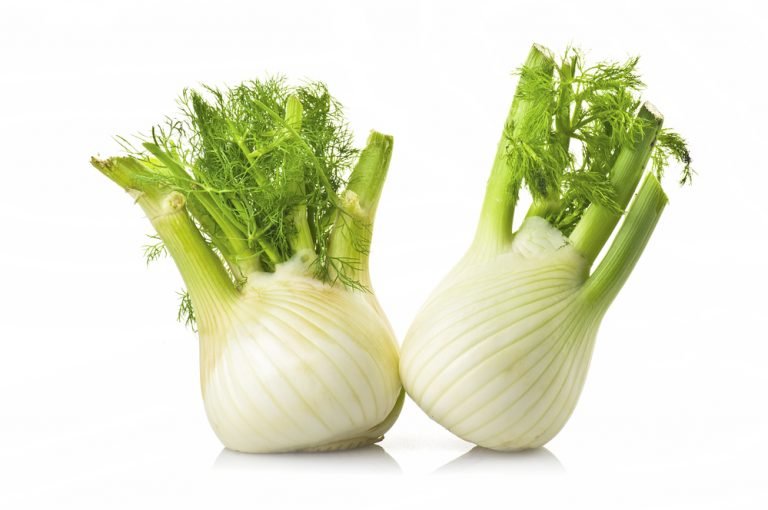 30 Best Herbs With Their Benefits and Uses - Natural Food Series