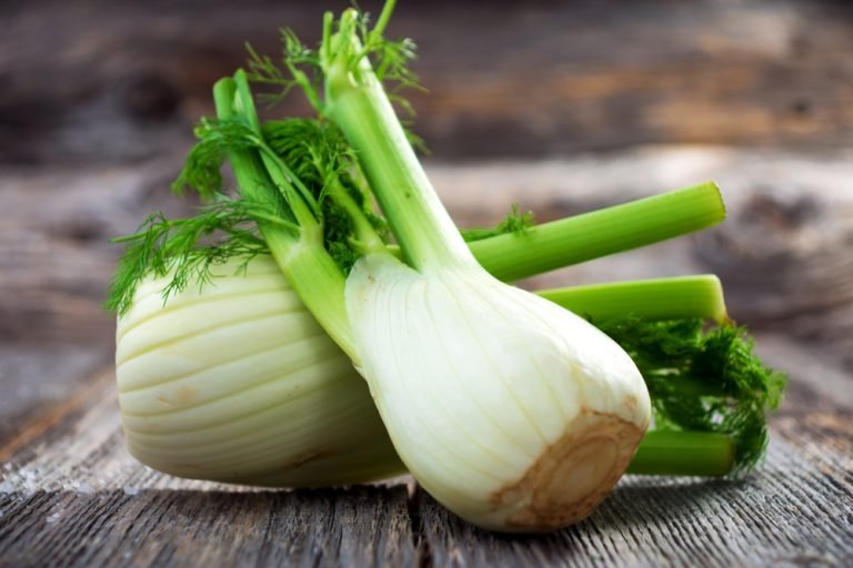 15 Amazing Benefits of Fennel - Natural Food Series