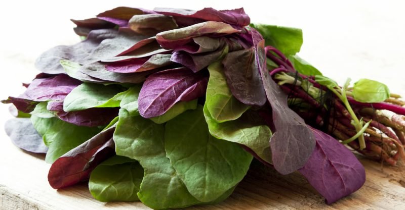 11 Amazing Health Benefits of Orach - Natural Food Series