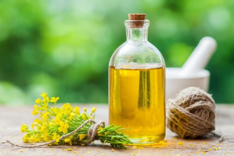 9 Impressive Health Benefits of Rapeseed Oil - Natural Food Series