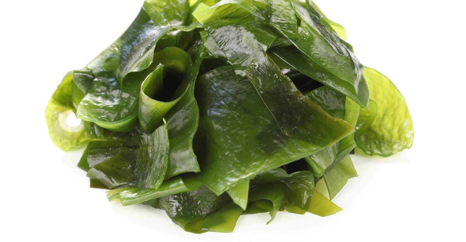 11 Amazing Health Benefits of Wakame - Natural Food Series