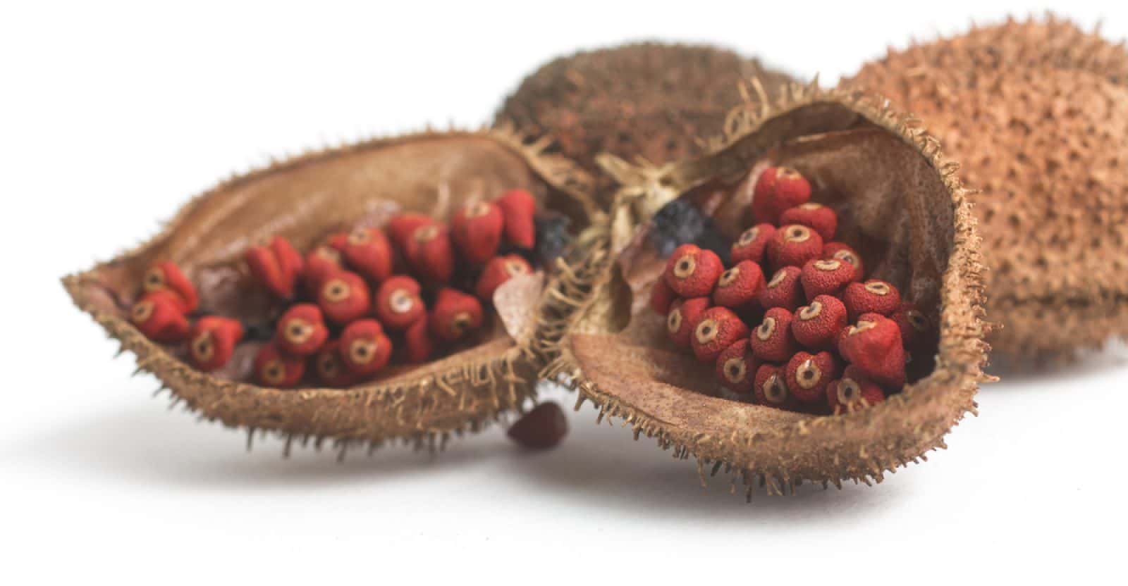 11 Impressive Benefits of Annatto (Atsuete) - Natural Food Series