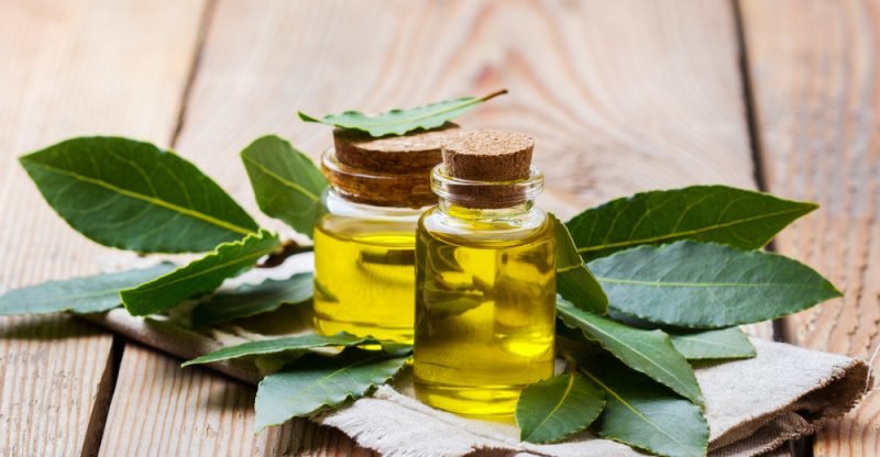 11 Amazing Benefits of Bay Essential Oil - Natural Food Series
