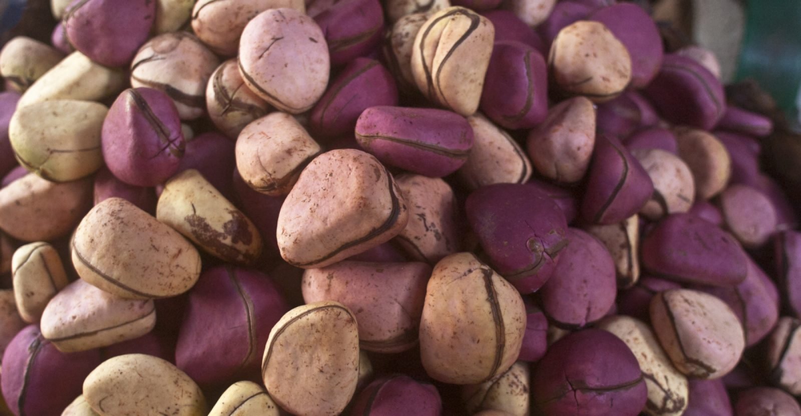 11 Health Benefits of Kola Nut - Natural Food Series