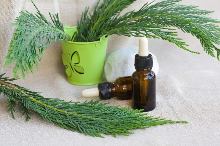11 Amazing Benefits of Thuja Essential Oil - Natural Food Series