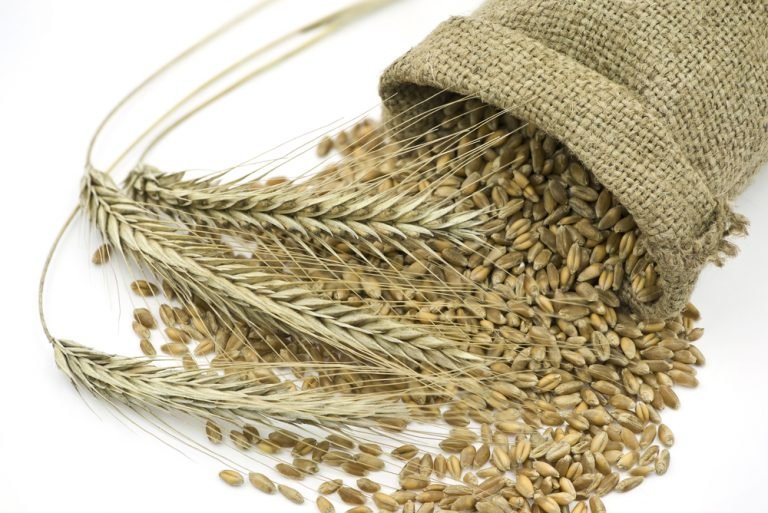 11 Amazing Health Benefits of Rye - Natural Food Series