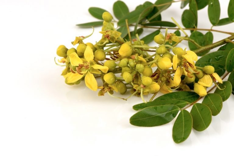 13 Amazing Health Benefits of Senna Plant - Natural Food Series