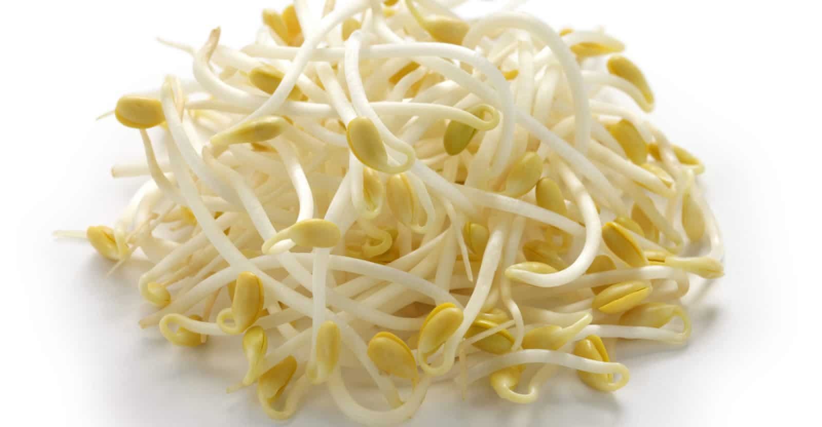 12 Amazing Health Benefits of Bean Sprouts - Natural Food Series