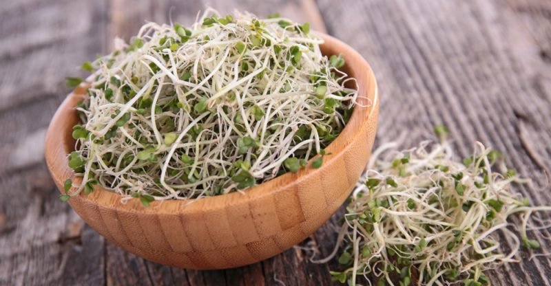 11 Proven Benefits of Broccoli Sprouts - Natural Food Series