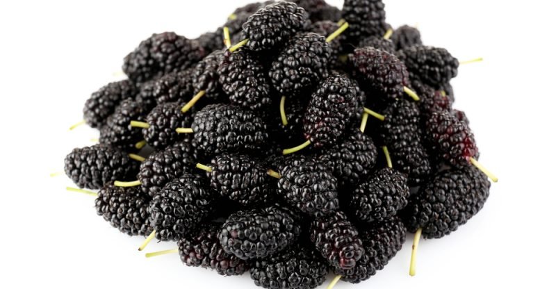 11 Amazing Benefits of Mulberries - Natural Food Series