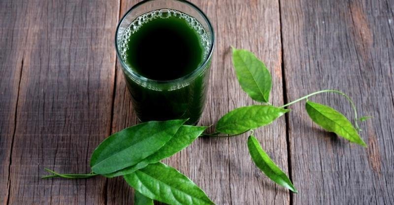13 Amazing Benefits of Chlorophyll - Natural Food Series