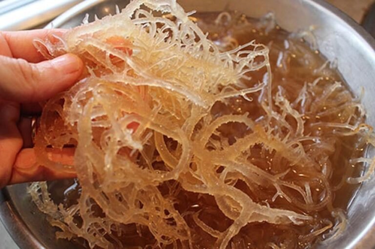 11 Health Benefits of Sea Moss - Natural Food Series